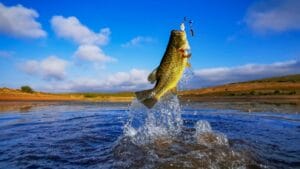 Fishing Seasons: The Best Time to Fish - Fishing World